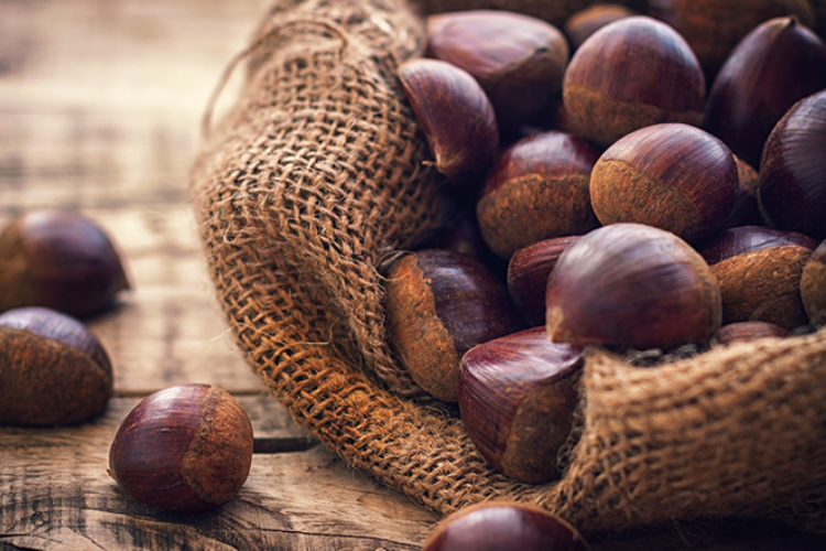 Hạt chestnut là gì? Đặc điểm và các lợi ích sức khỏe