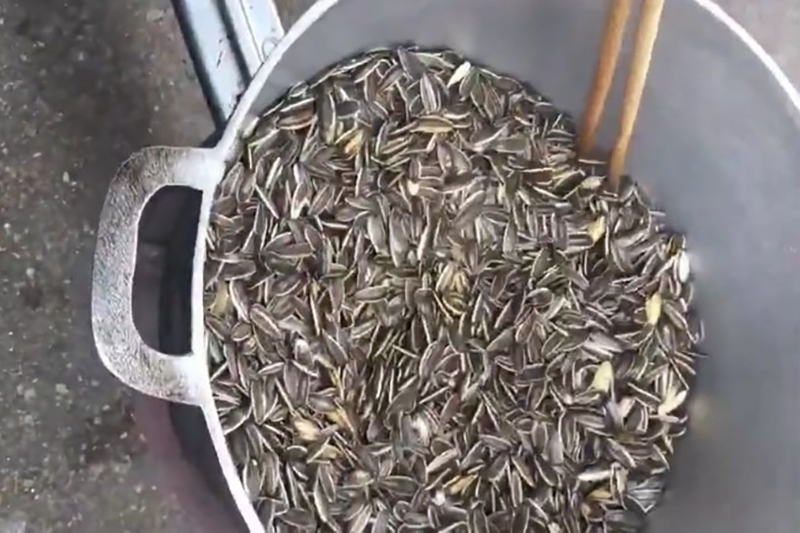 Hạt hướng dương bao nhiêu calo? Ăn nhiều có bị béo không?