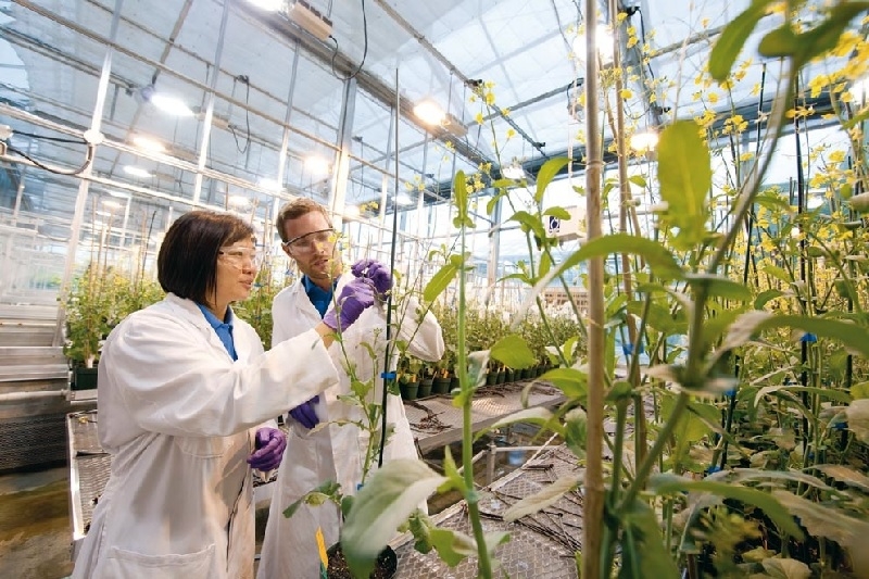 Khối D09 gồm những ngành nào? Trường nào? Khám phá các ngành học tiềm ...