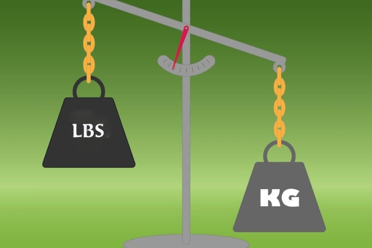 Lbs là gì? 1 pound bằng bao nhiêu kilogram? Ứng dụng của lbs