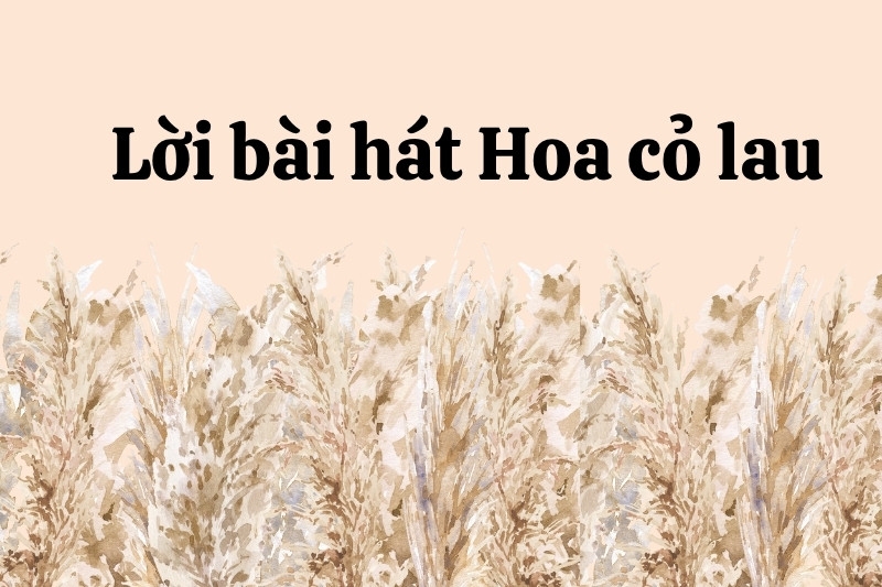 Lời bài hát Hoa cỏ lau - Phong Max chuẩn hợp âm cho karaoke