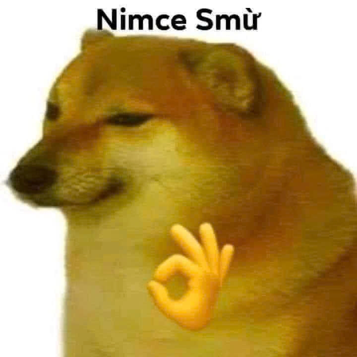 Meme chó Shiba là ai? Tại sao lại nổi tiếng trên thế giới? Từ trào lưu mạng xã hội đến biểu ...