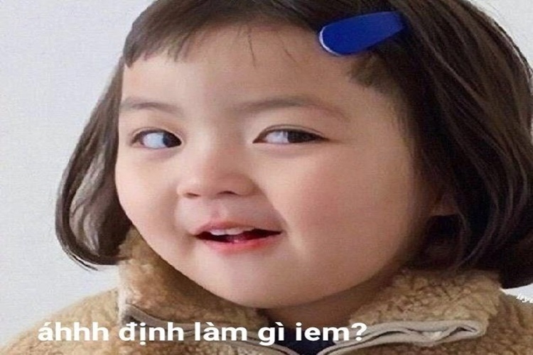 Phì cười với hàng loạt meme cute, ấn tượng thuộc nhiều chủ đề đang ...