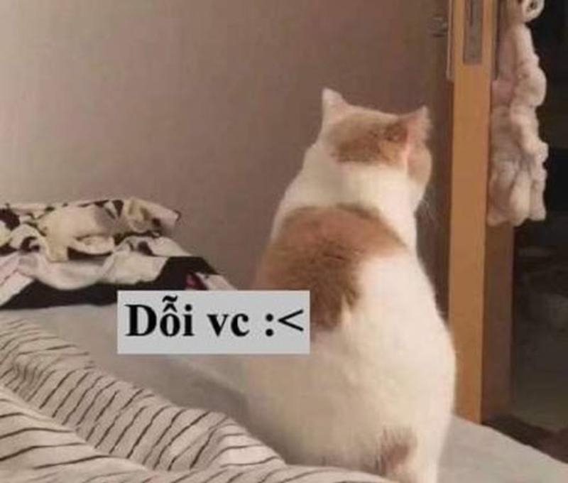 Tổng hợp các ảnh meme dỗi dễ thương, hài hước và vui nhộn