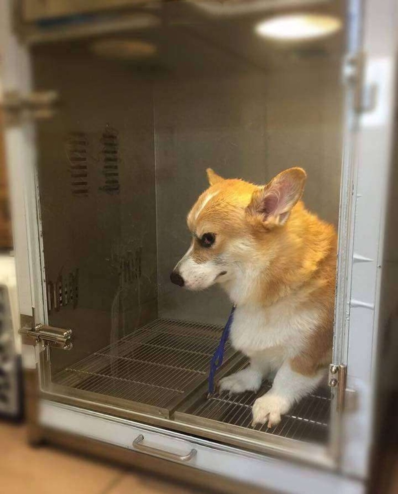 Tổng hợp các ảnh meme dỗi dễ thương, hài hước và vui nhộn