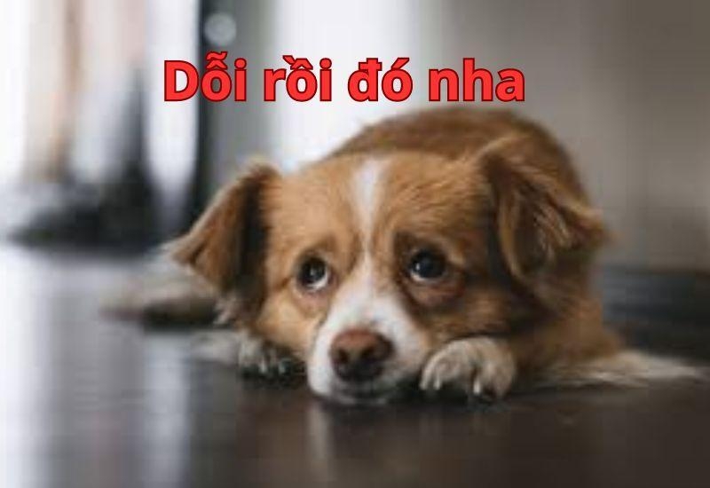 Tổng hợp các ảnh meme dỗi dễ thương, hài hước và vui nhộn