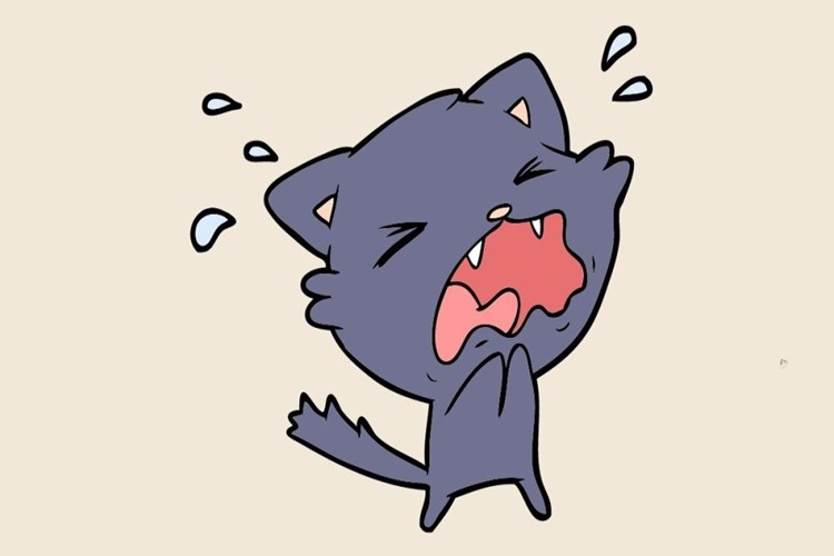 Các mẫu meme mèo khóc viral nhất cõi mạng và điều thú vị phía sau