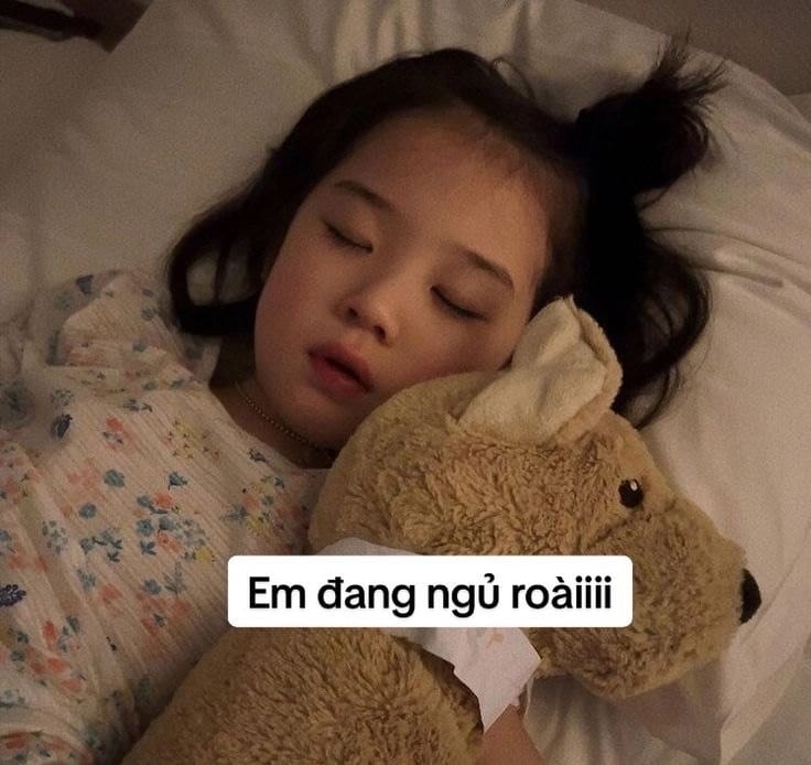 Khám phá bộ sưu tập hình ảnh meme ngủ cute, đáng yêu và độc đáo