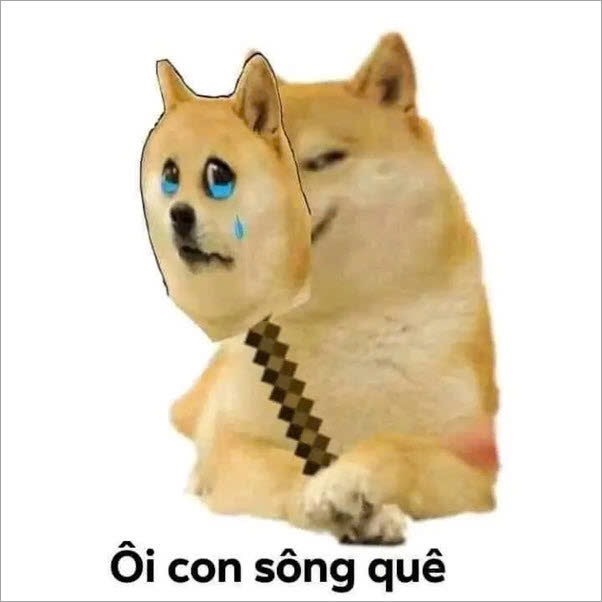 Meme quê hài hước: Cười vỡ bụng với những bức ảnh chế bá đạo về các ...