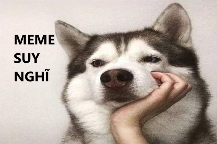 Mời bạn tải ngay loạt meme suy nghĩ, trầm tư và hài hước để nhắn tin ...