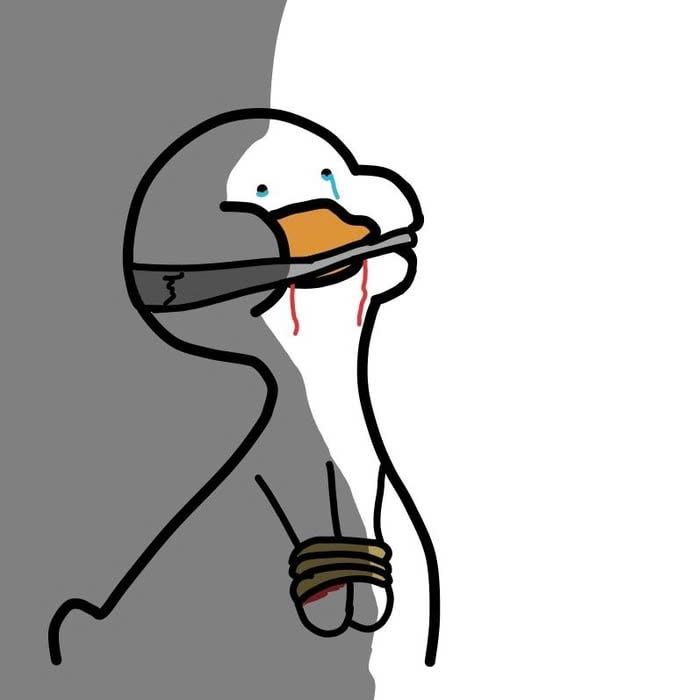 Tổng hợp những meme vịt hài hước, độc đáo và bá đạo nhất mạng xã hội ...
