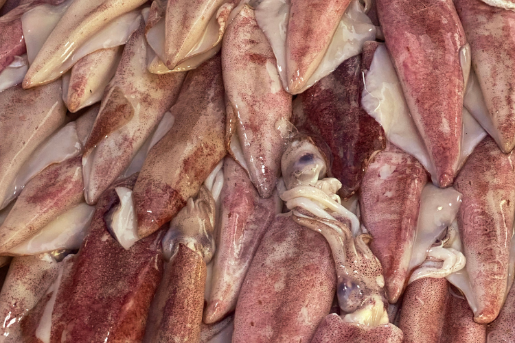 Mực xào tam sắc: Món ngon bắt mắt, dinh dưỡng và dễ làm tại nhà