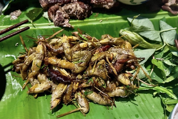 Cách làm muồm muỗm rang lá chanh ngon đúng điệu, chuẩn vị Yên Bái