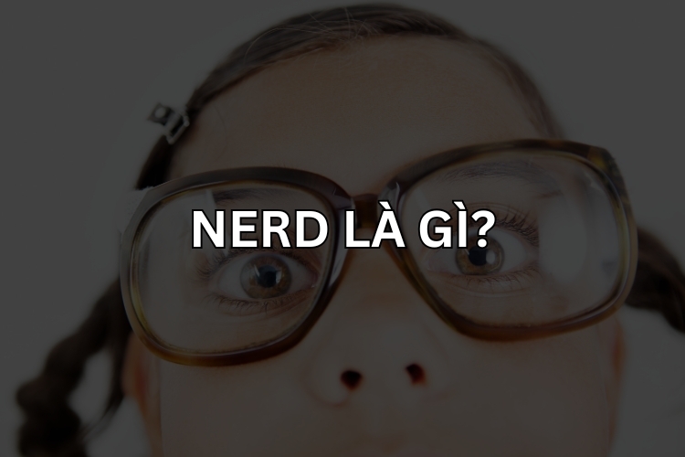 Nerd là gì? Tìm hiểu ý nghĩa, nguồn gốc và cách nhận biết theo ngôn ngữ ...