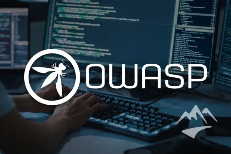 OWASP là gì? Top 10 lỗ hổng bảo mật website phổ biến theo chuẩn OWASP