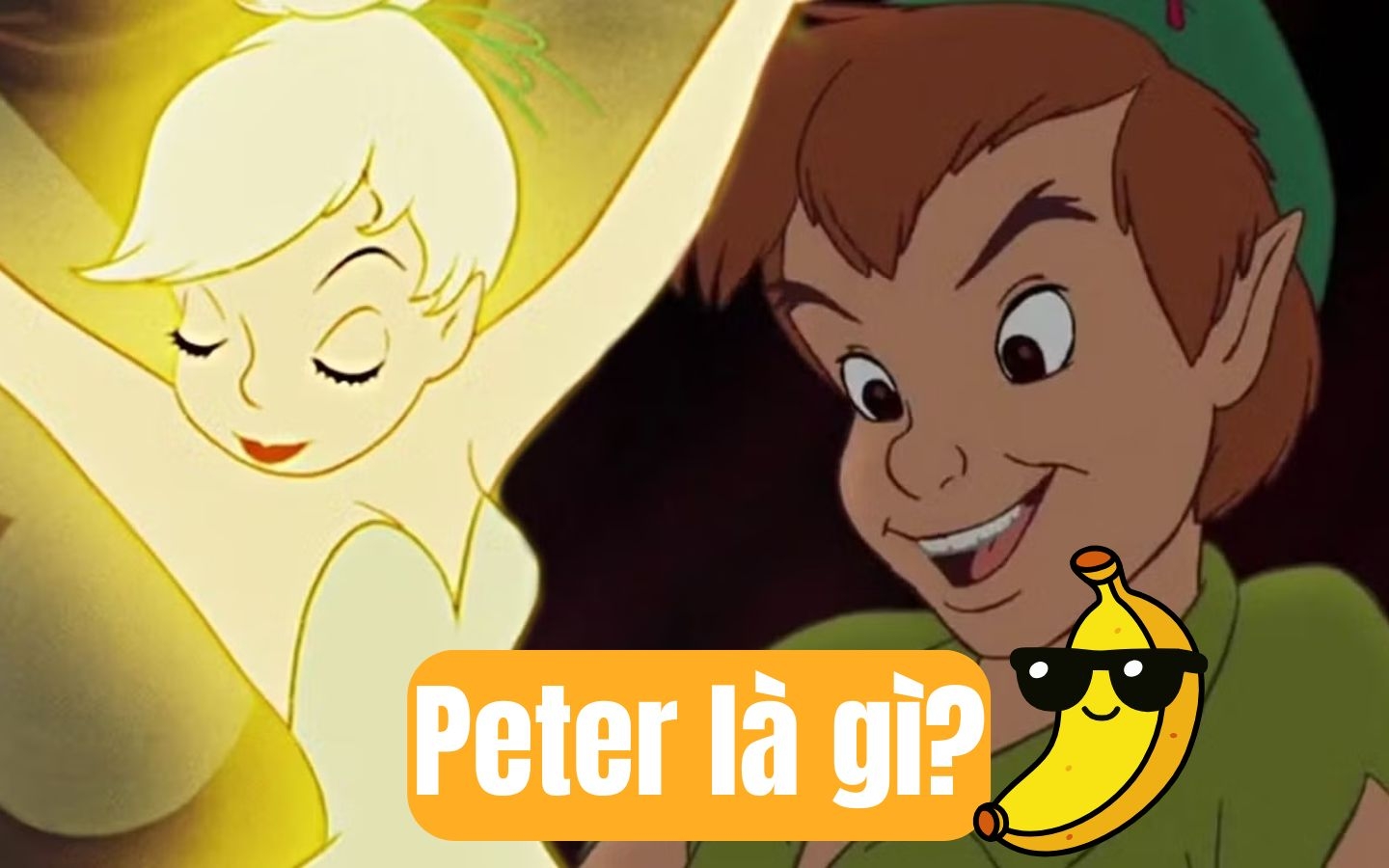 Peter là gì? Tìm hiểu ý nghĩa, nguồn gốc và những cách sử dụng phổ biến