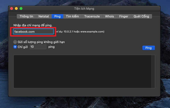 Ping Test là gì? Hướng dẫn chi tiết cách thực hiện và ứng dụng