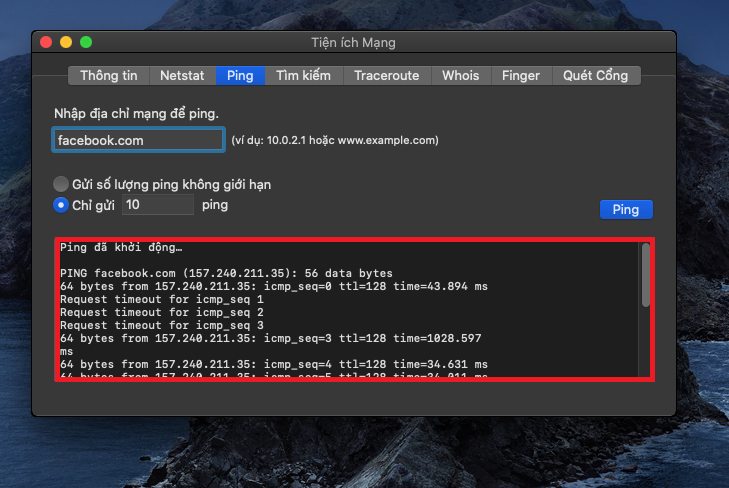 Ping Test là gì? Hướng dẫn chi tiết cách thực hiện và ứng dụng