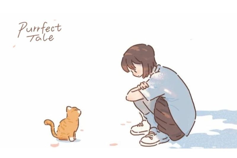 Tải Purrfect Tale: Game nuôi mèo ảo cực dễ thương dành cho hội mê thú cưng
