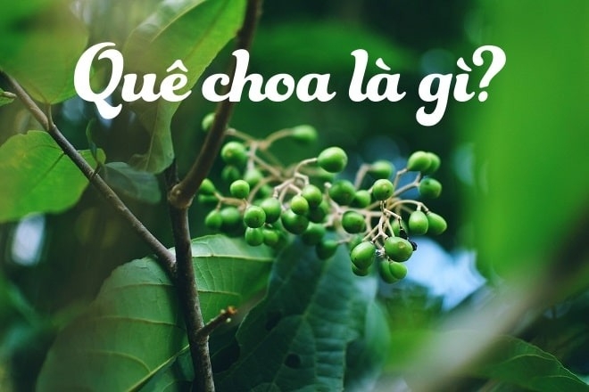 Quê choa là gì? Khám phá văn hóa xưng hô của người Nghệ An