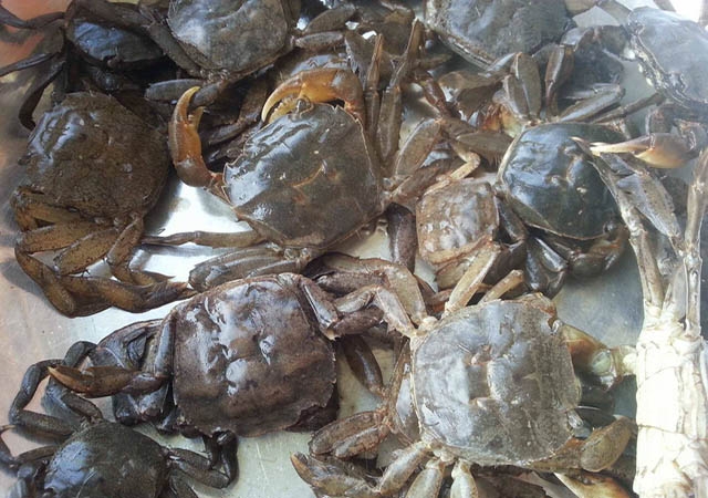 Mẹo làm rạm chiên giòn, ngon đúng điệu với vài bước đơn giản