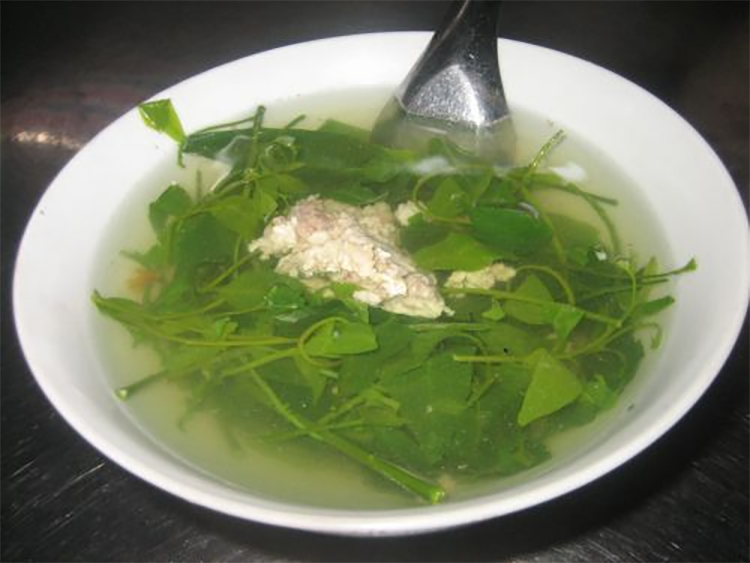 Rau ngót rừng: Giá trị dinh dưỡng và gợi ý các món ngon