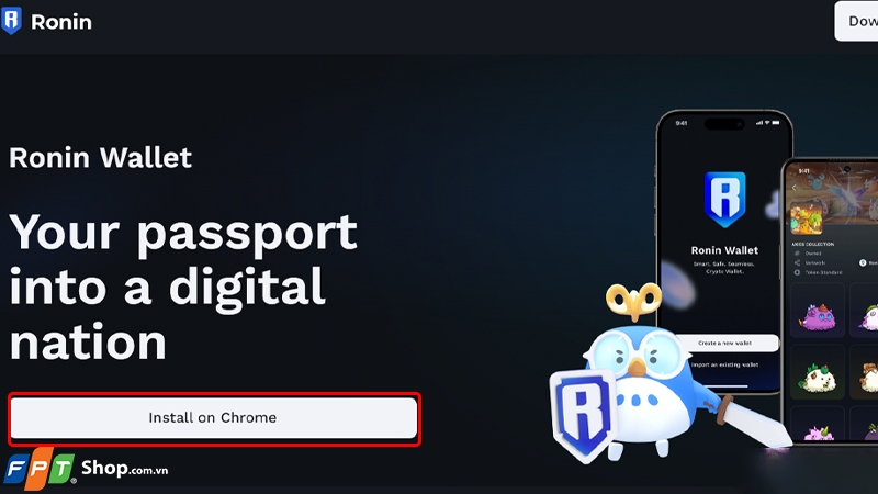 Ronin Wallet là gì? Tại sao nó lại trở nên phổ biến trong cộng đồng NFT?