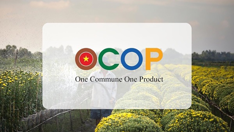 Sản phẩm OCOP là gì? Làm thế nào để được công nhận và phát triển bền vững