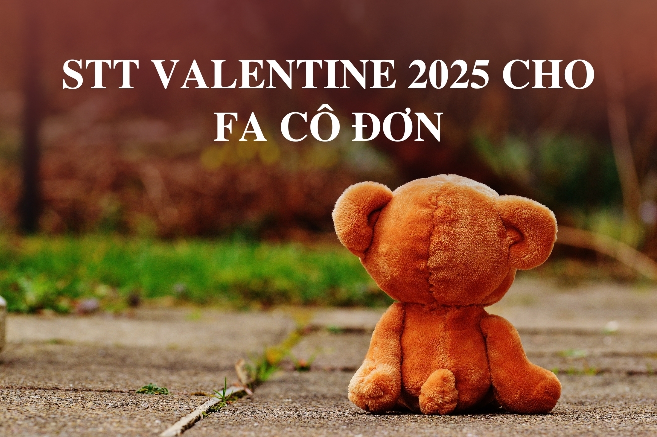 STT Valentine 2025 cho FA cô đơn – Những câu status hay nhất