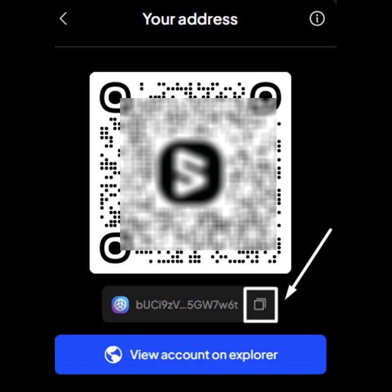 SubWallet là gì? Ví tiền điện tử cho hệ sinh thái Polkadot