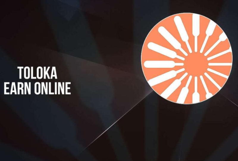 Toloka và cơ hội tạo thu nhập thông qua các nhiệm vụ trực tuyến