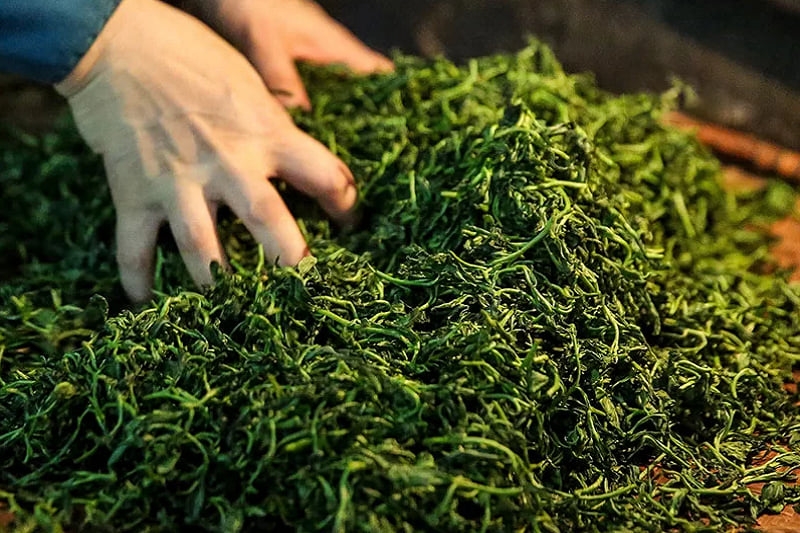 Trà đen số 9 là gì? Cách pha trà sữa với trà đen thơm ngon