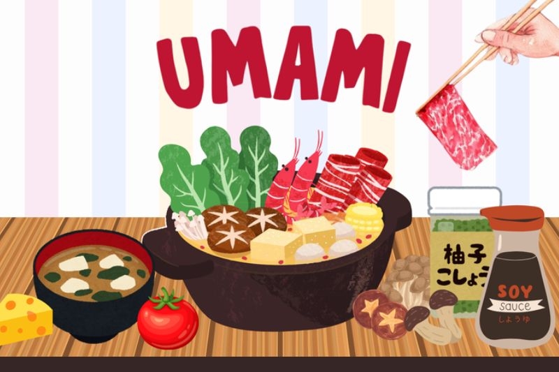 Umami là vị gì? Những điều thú vị về Umami bạn nên biết