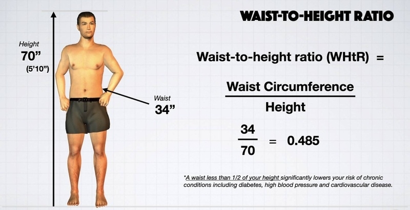 Waist là gì? Các khái niệm về waist và cách duy trì vòng eo đẹp