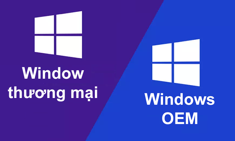 Windows 10 OEM là gì? So sánh với bản thương mại và cảnh báo khi mua trên mạng
